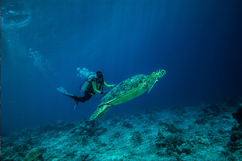 Derwan Islands - Scuba Diving Vacations